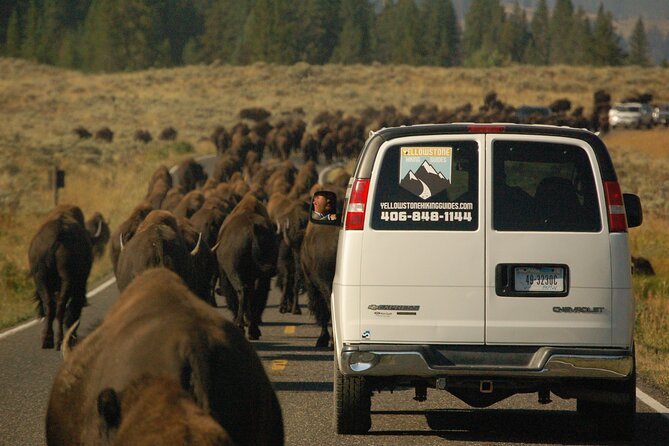 Upper Loop Tour and Lamar Valley From West Yellowstone With Lunch - Booking and Cancellation Information