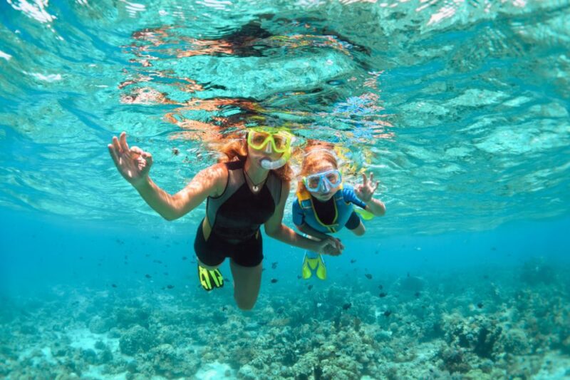 West Oahu: Turtles, Dolphins, and Snorkeling Tour with Lunch - The Sum Up: A Solid Choice for Ocean Lovers