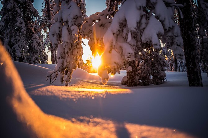 Wilderness Snowshoe Adventure - Gear and Attire for Comfort
