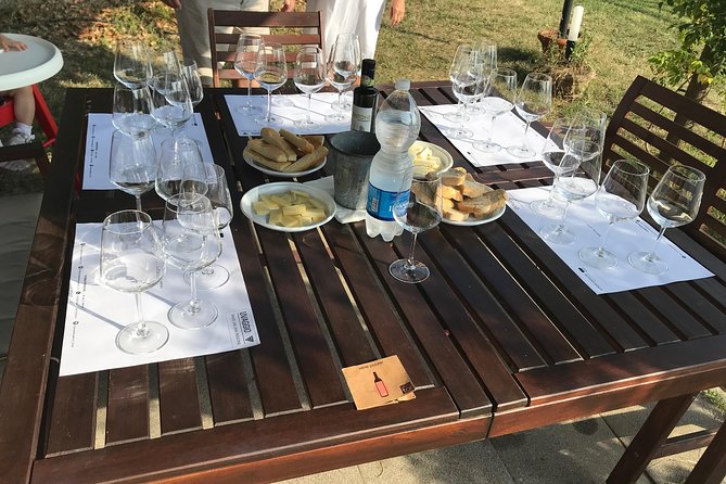 Wine Tasting in Lucca at Home With Expert Sommelier - 5 Wines - Customer Reviews and Feedback