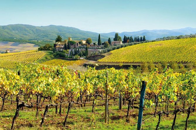 Wine Tasting & Tuscany Countryside, San Gimignano & Volterra - Final Thoughts
