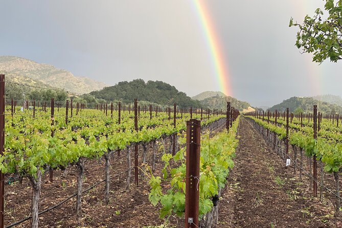 Wine Tour Pros - Wine Tour and Transportation: SUV Up To 6 Guests - Important Information for Your Tour