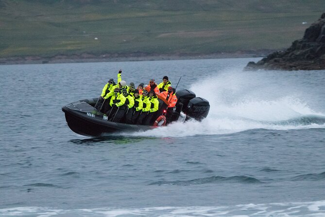 1 Hour Iceland Nature and Wildlife RIB Small Group Guided Safari - Customer Reviews and Testimonials