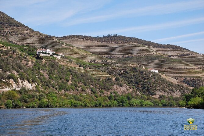 1-Hour Rabelo Boat Trip in Pinhão - Improvements and Company Response