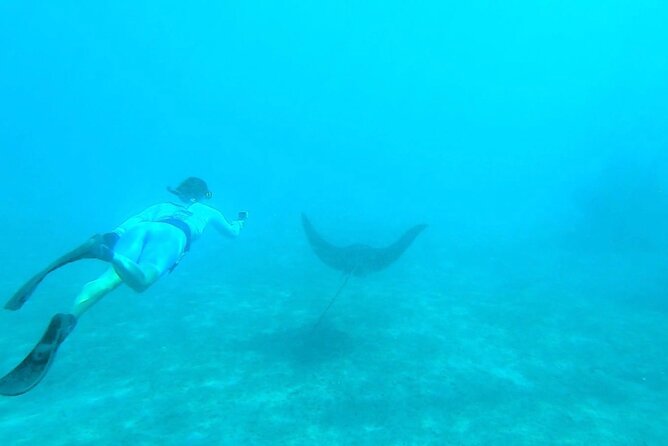 2 ½ - Hour Guided Snorkel Tour of Phil Foster Park, Free Videos! - Who should consider this tour?
