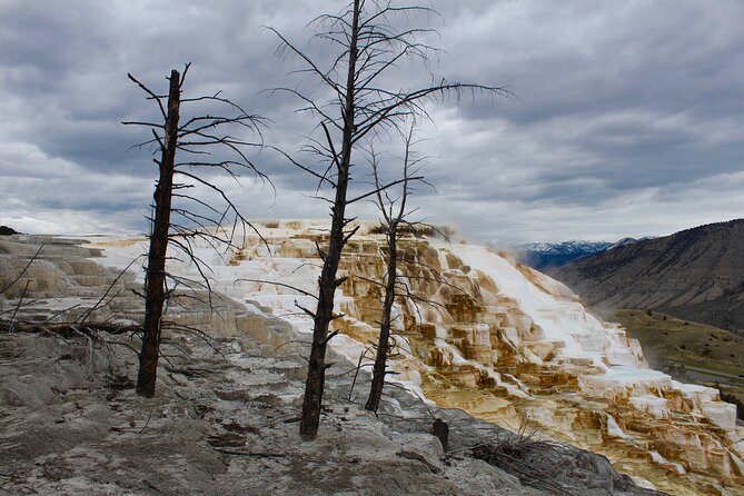 2-Day Yellowstone National Park Upper and Lower Loop Exploration - Making the Most of Your Yellowstone Adventure