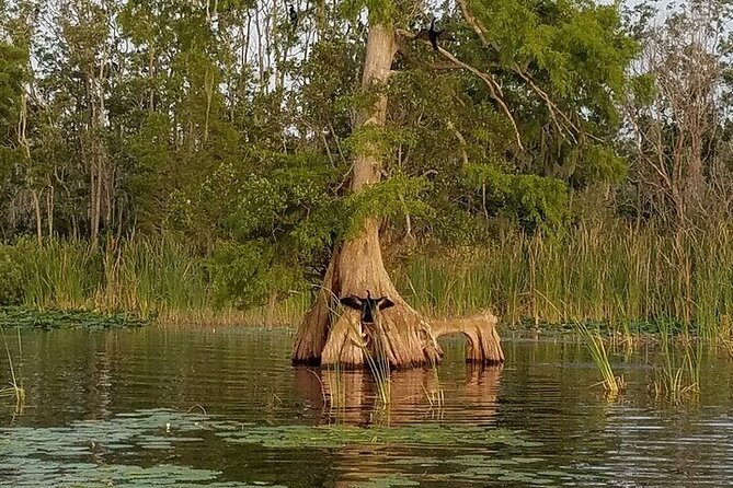 2 Hour Historical Wildlife Tour of the Chain of Lakes - Booking and Cancellation Policy