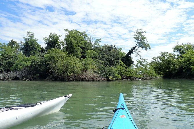 2 Hour Night Kayak Tour in Venice, Premium Experience With Sunset - Since You Asked
