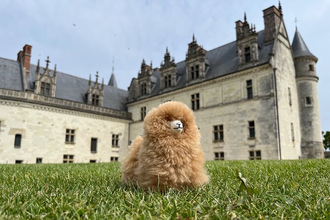 3 Loire Valley Castles and Wine Tasting Private Guided Tour - Pricing and Reviews
