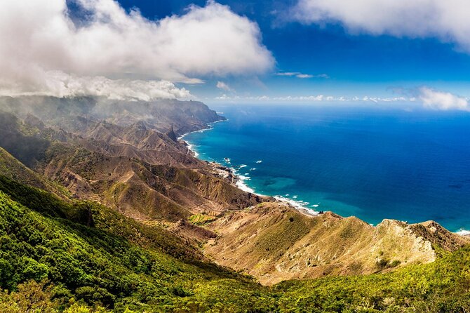 6 Hrs Private Tour In Tenerife - Accessibility and Accommodations