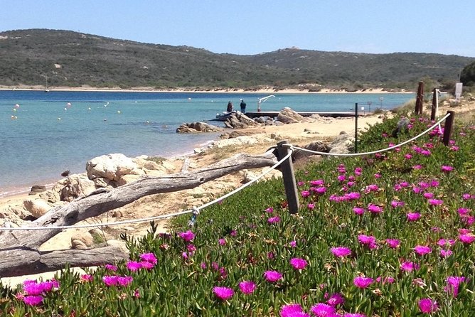 Afternoon Excursion (15:00/19:00) by Rubber Boat in the Archipelago of La Maddalena. - Tips for a Memorable Experience