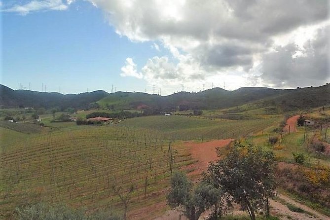 Algarve Wine Tour of Two Wine Estates - Final Thoughts