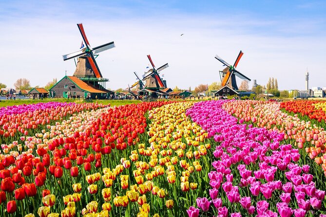 Amsterdam Pass: Save up to 50% - Includes Rijksmuseum - Visiting the Rijksmuseum With the Amsterdam Pass