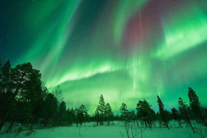 Aurora Hunt With the Campfire and Professional Photographer - The Campfire Experience