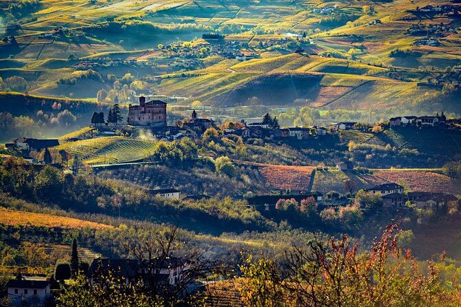 Barolo Wine and Food Tasting at Piedmont Region Winery - Exceptional Customer Reviews and Feedback
