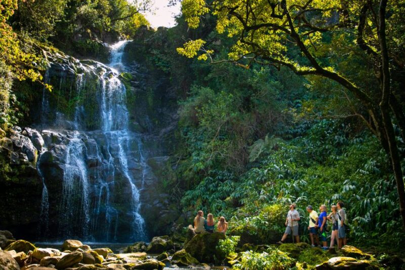 Big Island: Full-Day Kohala Zipline and Waterfall Adventure - Final Words