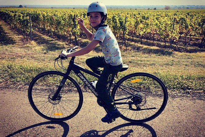 Bike & Wine Tour in Dealu Mare Wineland - Booking Your Adventure: Process and Tips