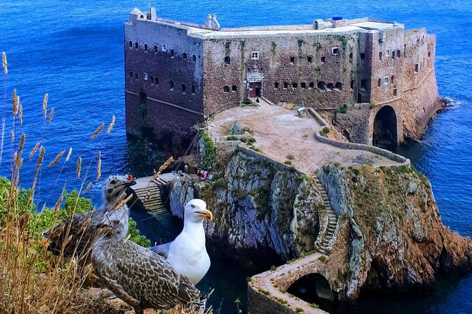 Boat and Kayak at Berlenga Natural Reserve - Verified Traveler Recommendations