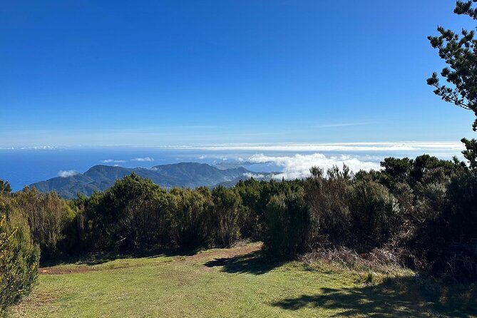 Botanical Trails of Madeira. Mountain Biking Trail Experience - Traveler Reviews and Ratings