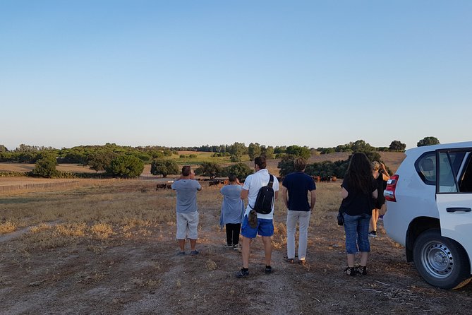 Bull Breeding Farm: Guided Half-Day Tour From Seville - Cultural Highlights