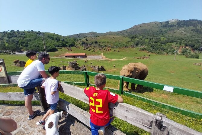 Cabarceno Natural Park Visit - Preparing for Your Visit