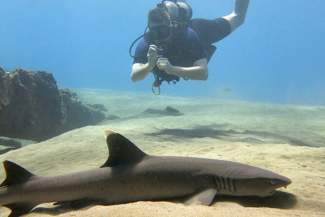 Certified Guided Shore Dive in Lahaina - Frequently Asked Questions