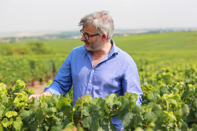 Champagne VIP Day Trip From Paris With Local PRIVATE Wine Expert Guide - Gourmet Dining Experience