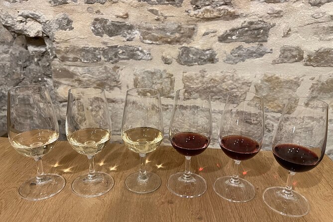Cheese and Wine Pairing 1-Hour Session in Dijon - Since You Asked