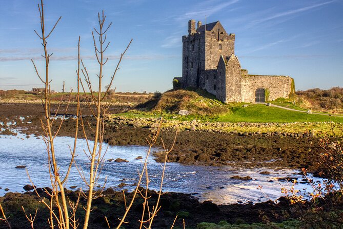 Cliffs of Moher Private Day Tour Review - Highlights of the Private Day Tour