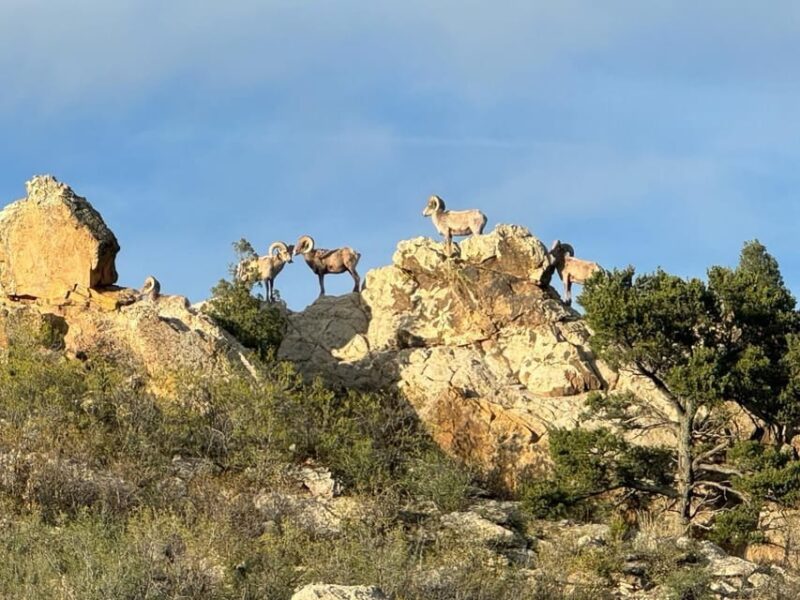 Colorado Springs: Garden of the Gods & Manitou Springs Tour - FAQs