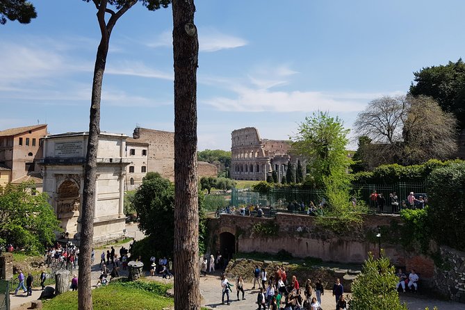 Colosseum Arena Floor Tour Review - Customer Experiences and Feedback