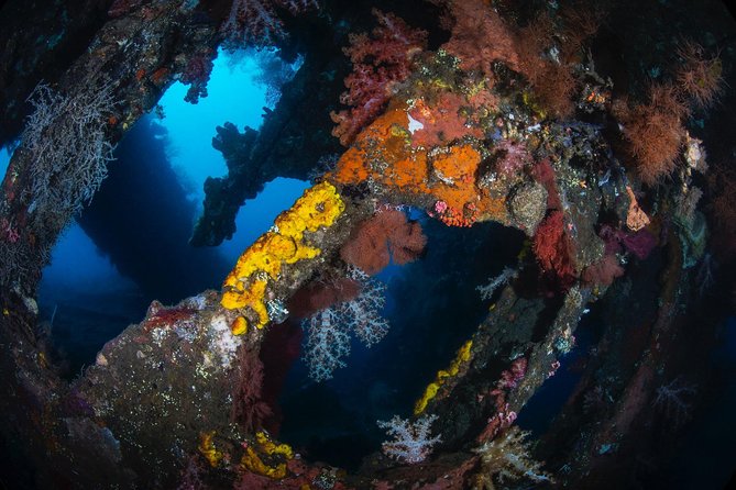 Day Trip certified divers - 3 Dives in Tulamben (pick-up & drop-off included) - FAQ