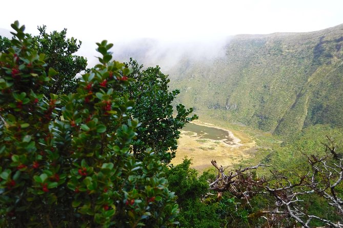 Descent to Caldeira Do Faial - the Perfect Adventure - Frequently Asked Questions