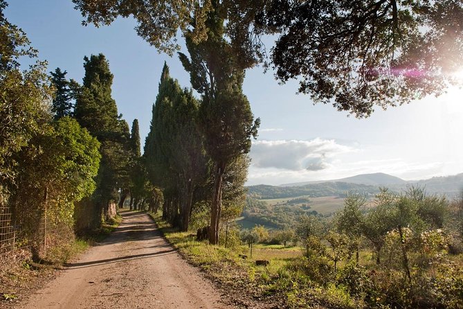 Discover Montepulciano: Cinta Senese Pigs, Lunch & Wine in a Farm - About the Tour Provider and Pricing