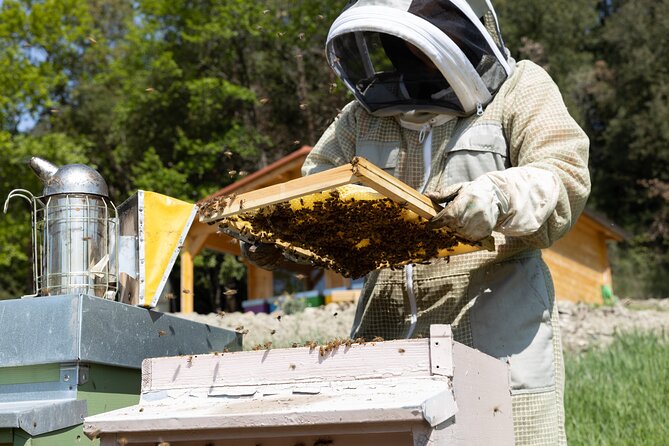 Discovering Bees in Volterra - Frequently Asked Questions