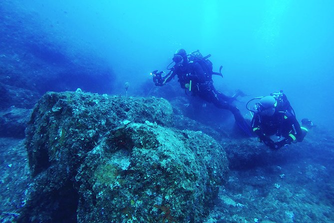 Diving With PADI 5 Star CDC Diving Resort Isola Bella Marine Park Taormina - Why Choose a PADI 5 Star CDC Dive Center