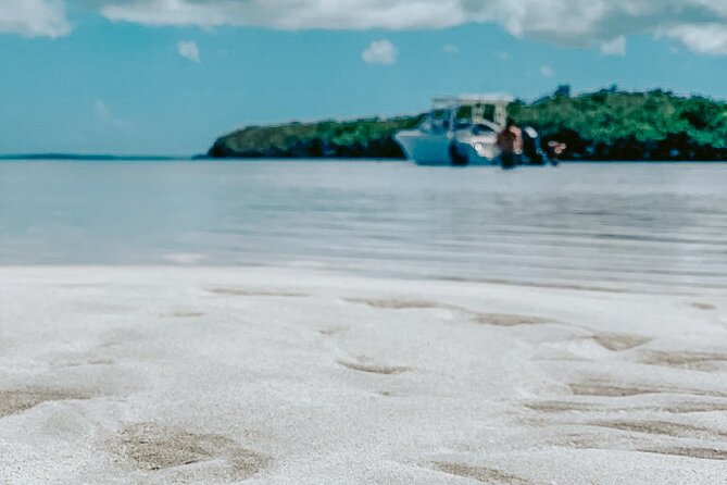 Dolphin Snorkel & Sandbar - Frequently Asked Questions