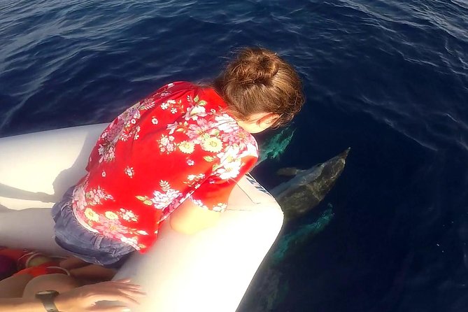 Dolphin Watching & Conservation - Dolphins in the Gulf of Catania - Accessibility and Traveler Experiences