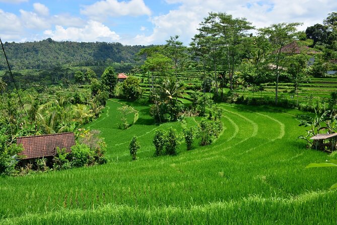 East Bali Tour: Gate of Heaven, Water Palace, Sleeping Gajah - What We Love