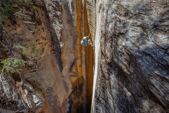 East Zion: Stone Hollow Full-day Canyoneering Adventure - Why Choose This Canyoneering Experience