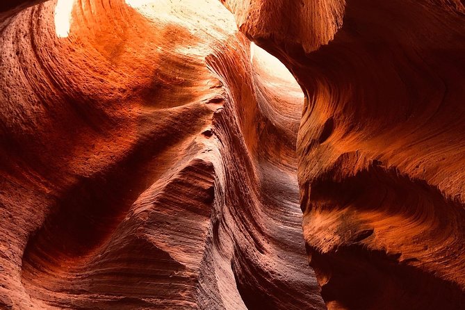 East Zion Ultimate Slot Canyon Canyoneering UTV Adventure - Practical Information and Booking Details
