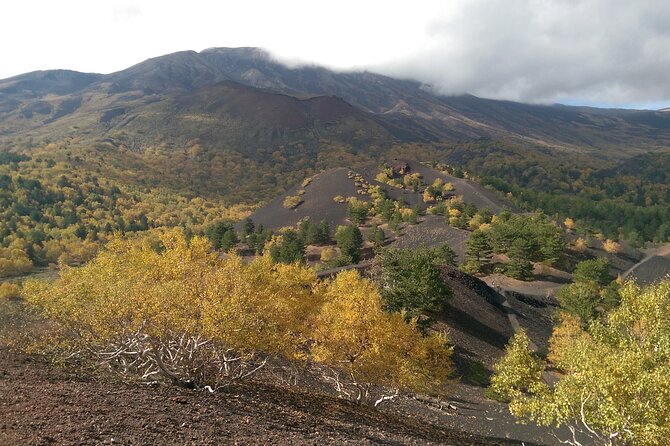 Etna & Alcantara - Health and Safety Considerations