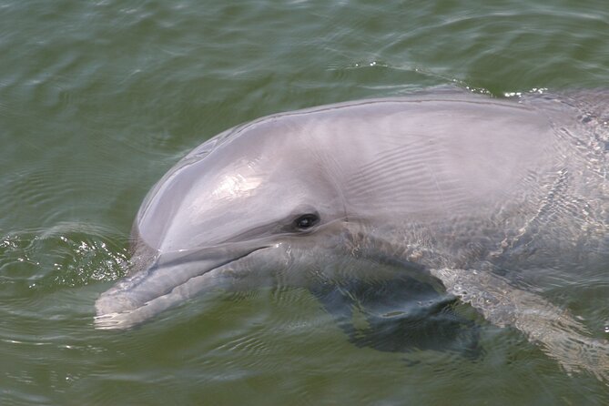 Everglades National Park Boat Tour - Frequently Asked Questions