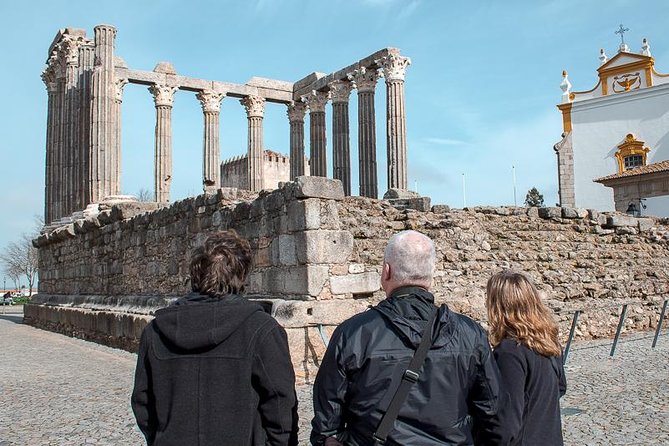 Évora and Megaliths Tour: A Review - Cork Harvesting and Local History