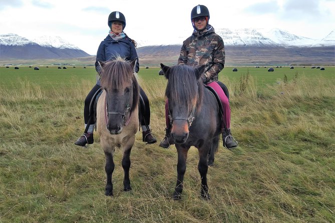Family Friendly Horse Riding Tour in Skagafjörður - Tips for a Great Riding Experience