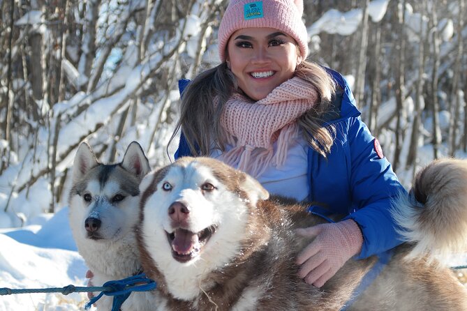Free Pickup - Alaskan Husky Dog Sledding With Free Photo Service - Educational Dog Mushing Adventure