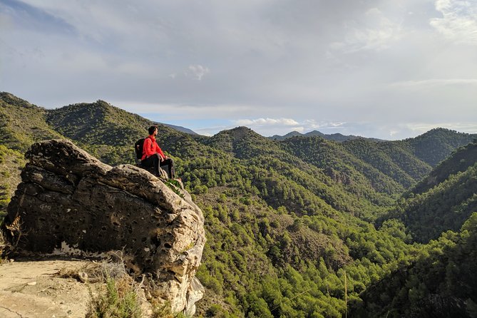 Frigiliana Small-Group Hike and Wine Tasting Tour From Malaga - Traveler Feedback and Recommendations