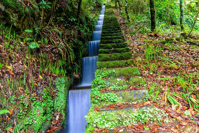 Full Day East of Madeira Tour Review - Recommendations and Tips for Travelers