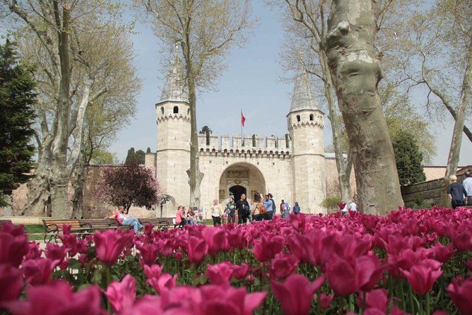 Full Day Highlights of Istanbul Old City Incl Lunch & Tickets - Cancellation Policy and Recommendations
