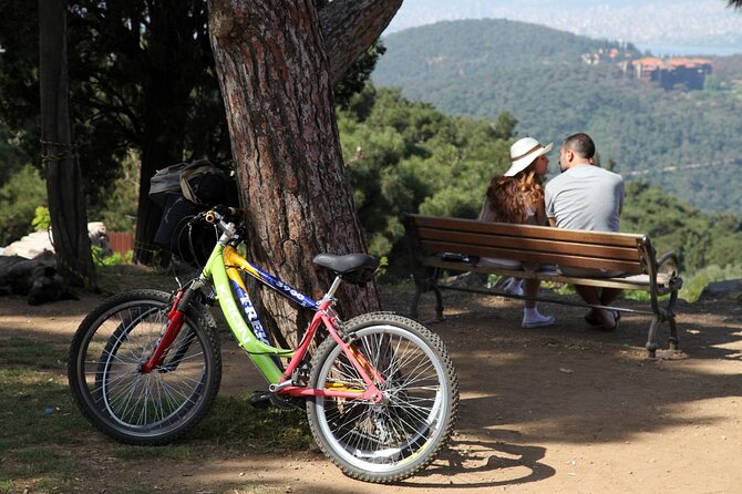 Full Day Princess Island Tour Lunch,Tranfer and By Boat Istanbul - What to Bring and Wear